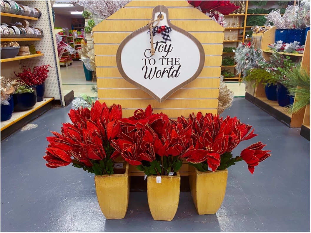 Fall Into Winter - Louisiana Nursery