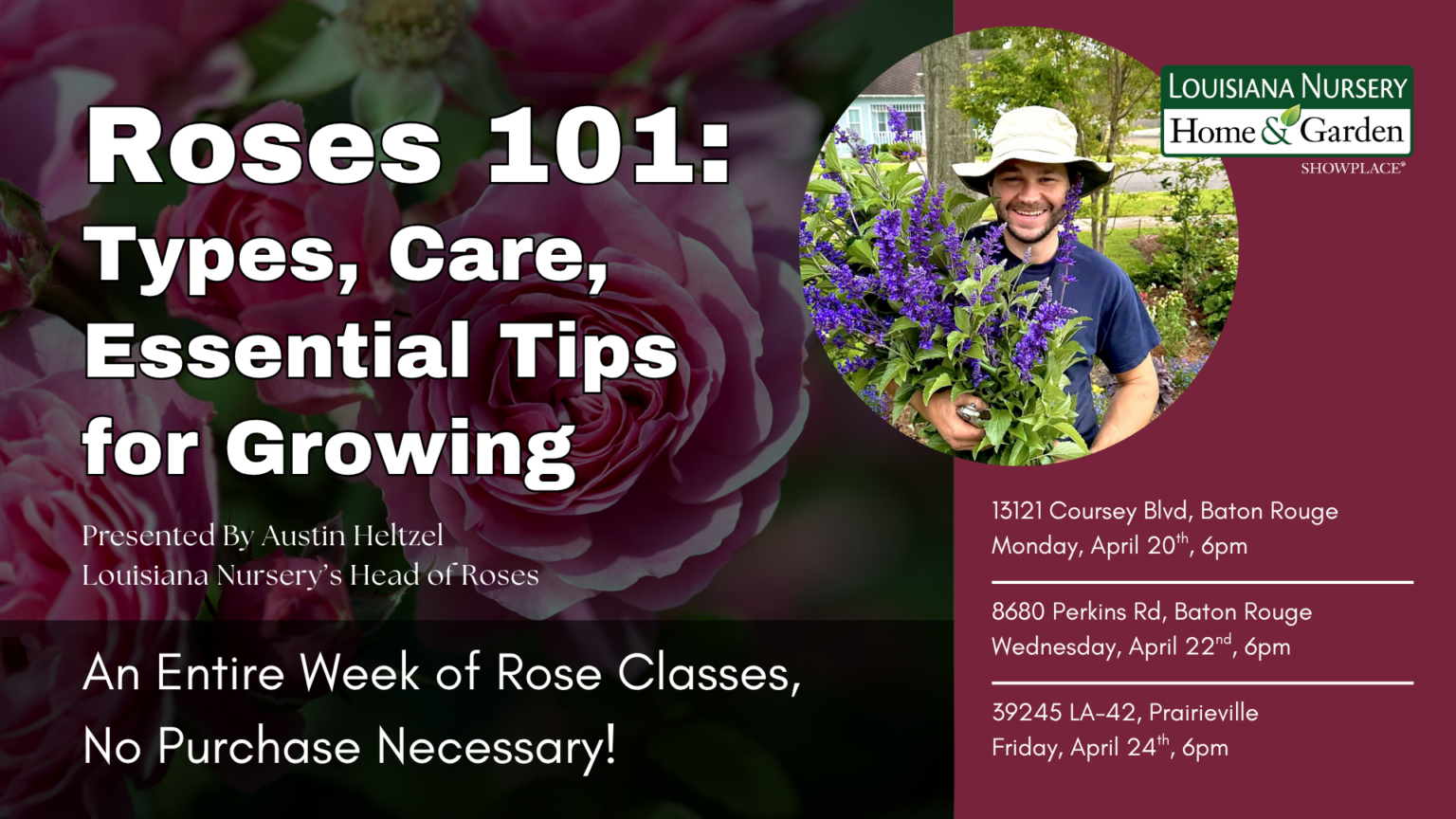 Roses 101: Learn Rose Types & Essential Tips for Growing (Hwy 42 ...
